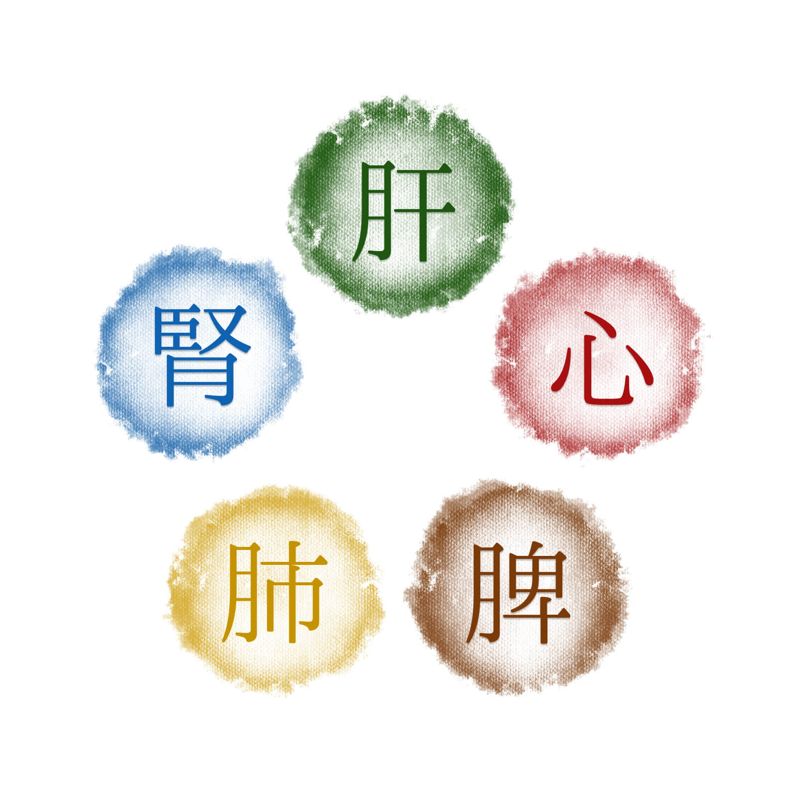 陰陽五行と脳と心のバランス① - 一般社団法人 脳もみnomomi®｜脳の整体で優しさと平和を届ける新しい技術「脳もみnomomi®」